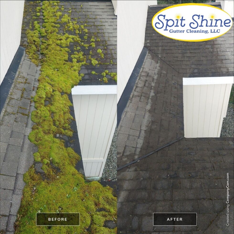 Roof Cleaning Services Anchorage | Spit-Shine Gutter Cleaning